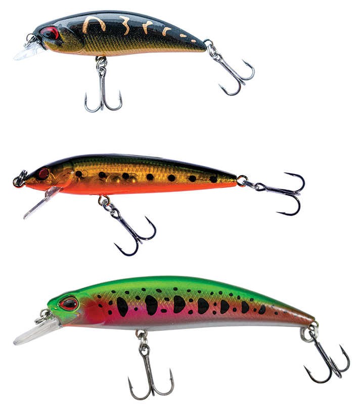 Lure fishing for trout Fishing Guide